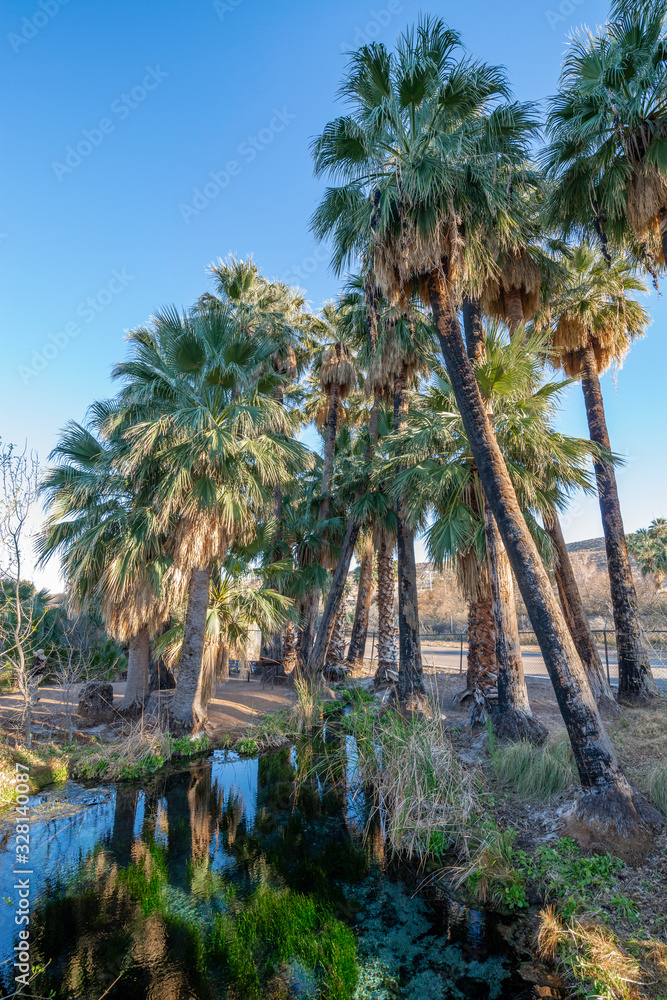 An Oasis featuring a spring with clear blue water surrounded by ...