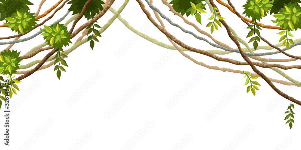 Liana branches and tropical leaves on white background. Cartoon frame ...