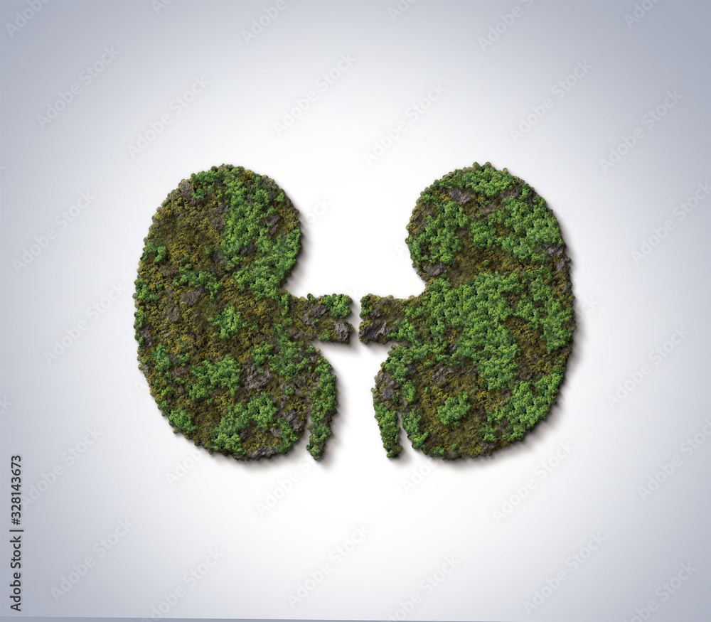 Green Kidney Concept- Kidney diseases which affect millions of people ...