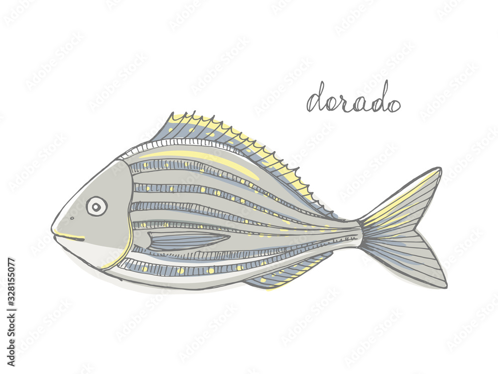 Dorado. Seafood design elements. Seafood / fish menu, poster, label etc ...