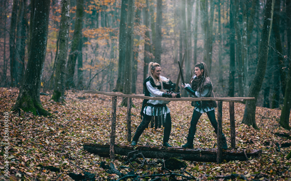 Viking warrior women in traditional warrior with swords in a fight ...