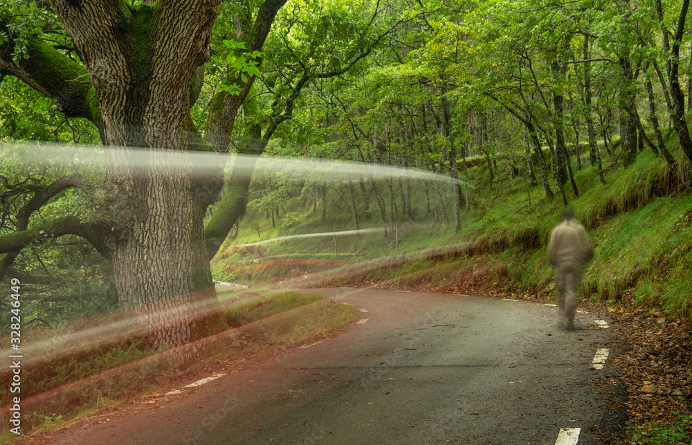Persona paseando en una carretera en medio de un bosque verde. Stock ...