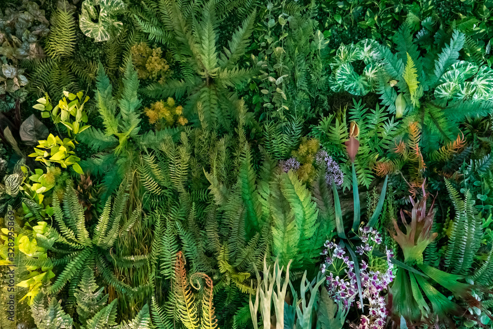 Beautiful vertical garden on the wall of the building for interior and ...