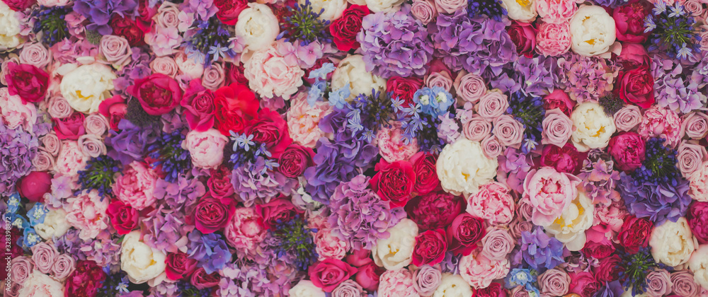 Beautiful wall made of red violet purple flowers, roses, tulips, press ...