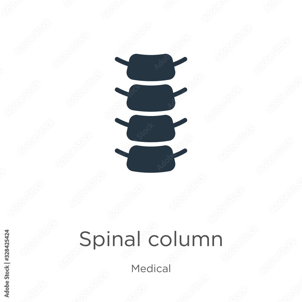 Spinal column icon vector. Trendy flat spinal column icon from medical ...
