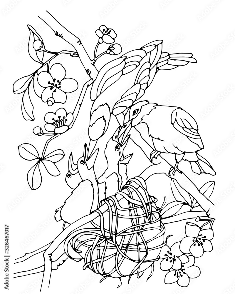 Bird coloring page feed the chicks in a nest on a flowering branch ...