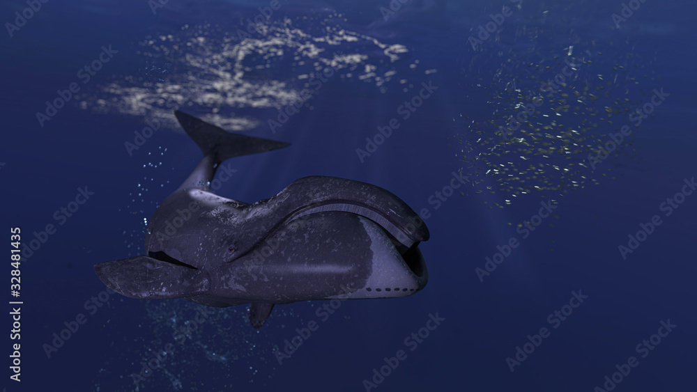 Bowhead arctic whale with curved bosy is after the group of small prey ...