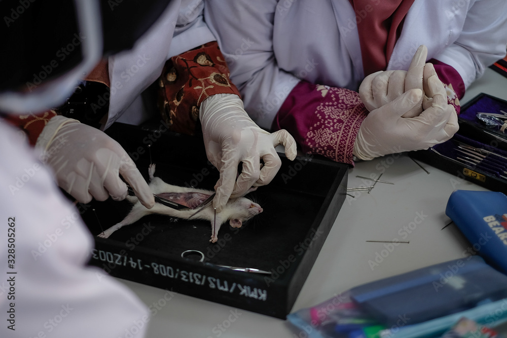 Malaysia - March 2, 2020: Surgeon perform vascular anastomosis on the ...