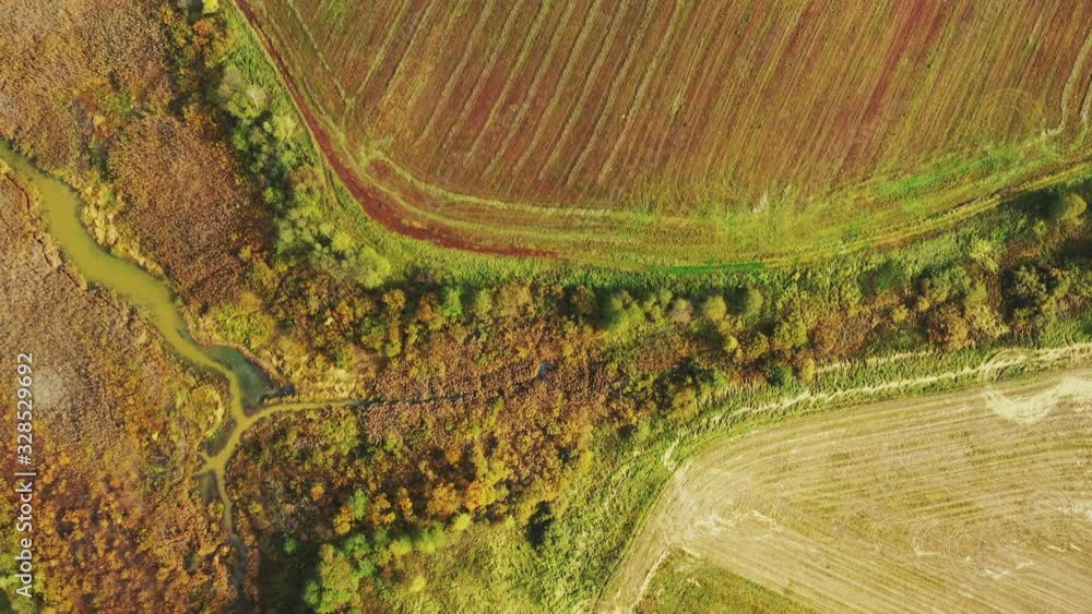Aerial View Autumn Empty Field With Windbreaks Landscape. Top View Of ...
