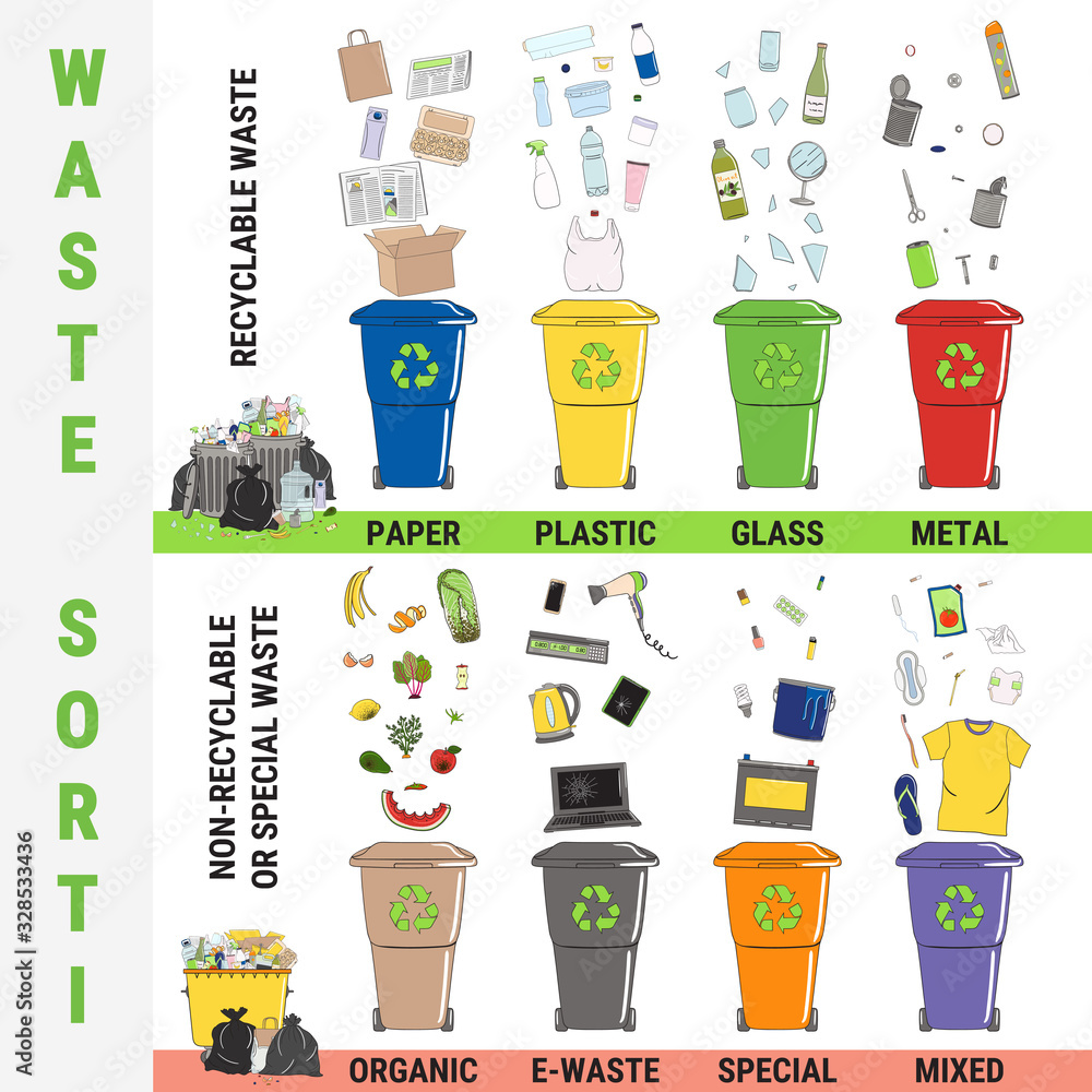 Waste infographic. Sorting garbage, segregation and recycling ...