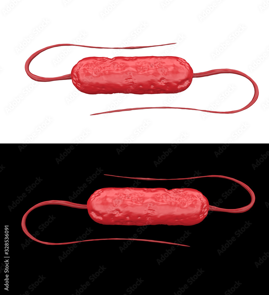 Listeria bacteria isolated on black white background side view 3d ...