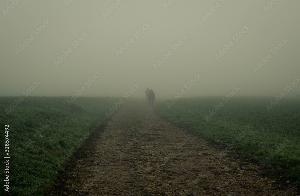 Two people walking down a path with mist. Mysterious and adventurous ...