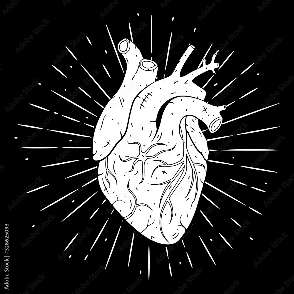 Human heart. Hand drawn vector illustration with human heart. Used for ...