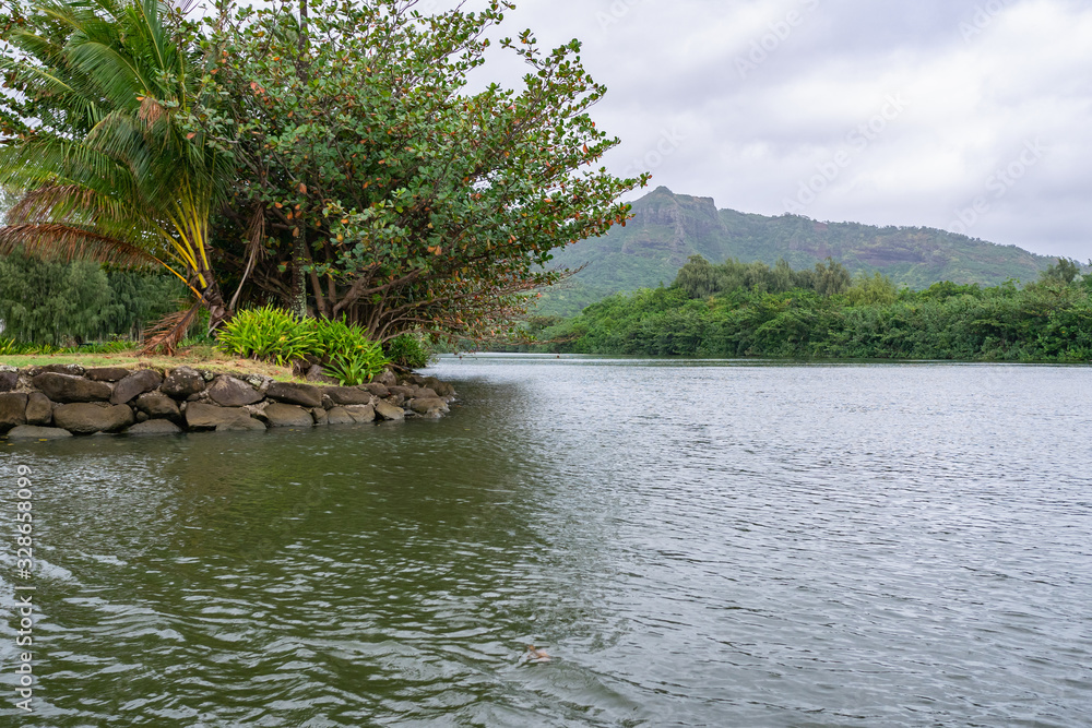 Wailua River Cruise & Grotto Tour takes you on a cruise down the Wailua ...