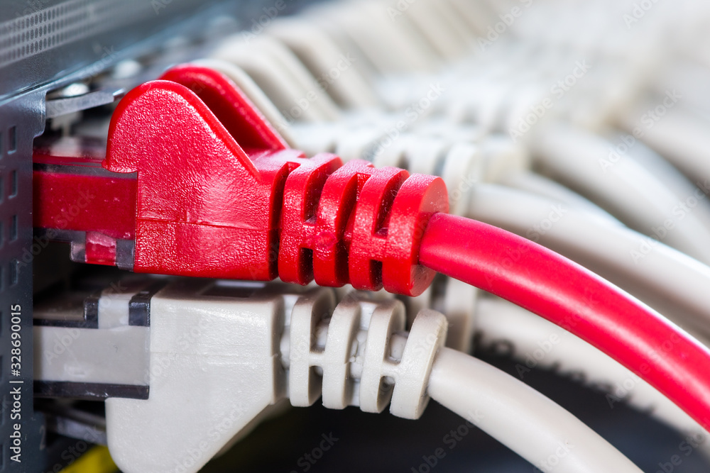 Ethernet cables connected to the Network Switch Stock Photo | Adobe Stock