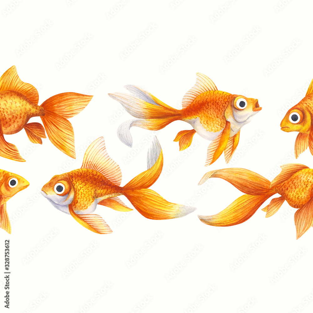 Seamless, decorative border with Goldfish. Aquarium fish of Golden ...
