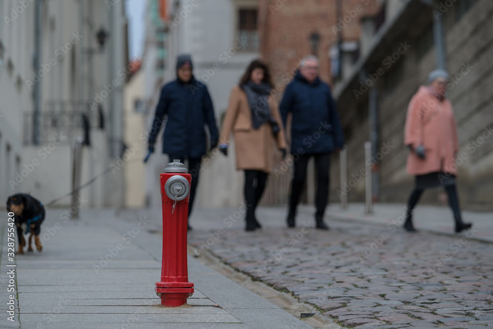 walking the city with the dog, red fire hydrant and fire protection ...