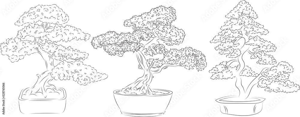 Vector drawing imitating a pencil sketch. Image of bonsai trees. Stock ...
