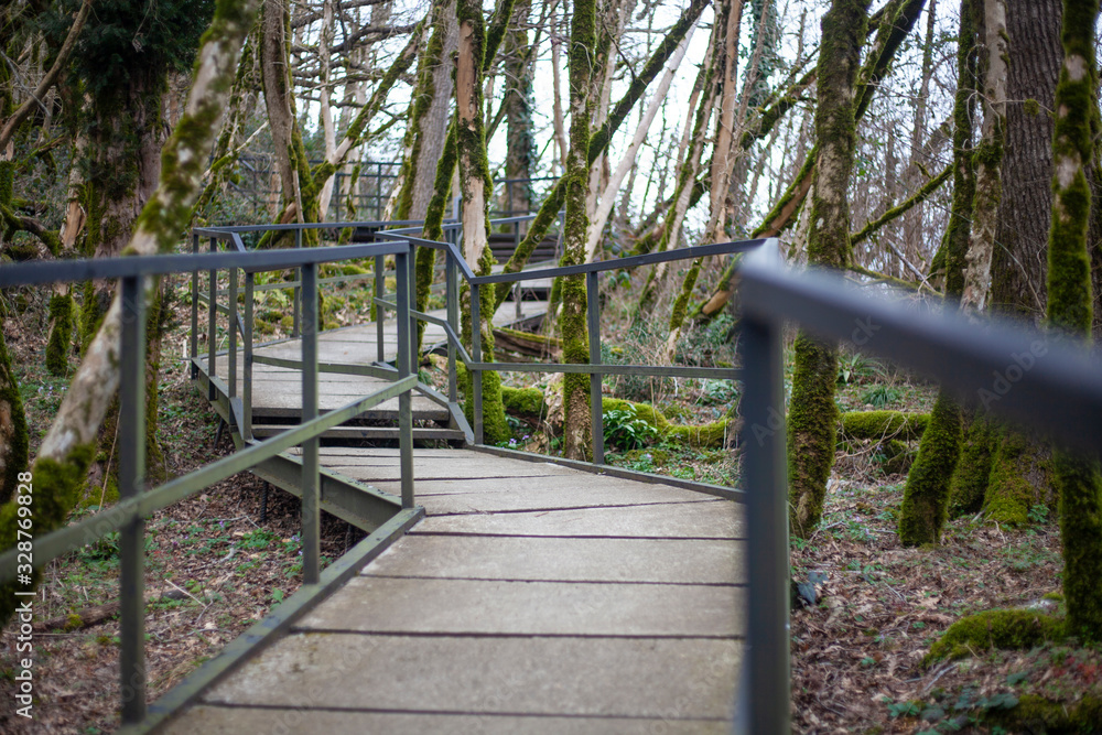 Fotografia do Stock: Trail for tourists in a nature reserve. Wildlife ...