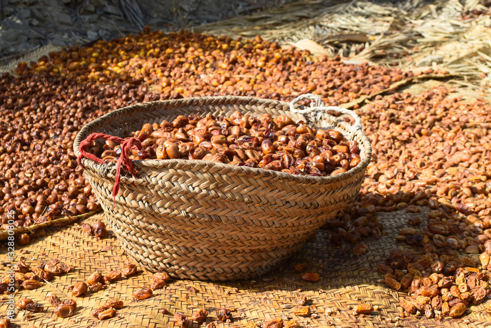 Dry sweet fruit dates in ripening process, close up healthy nutrition ...
