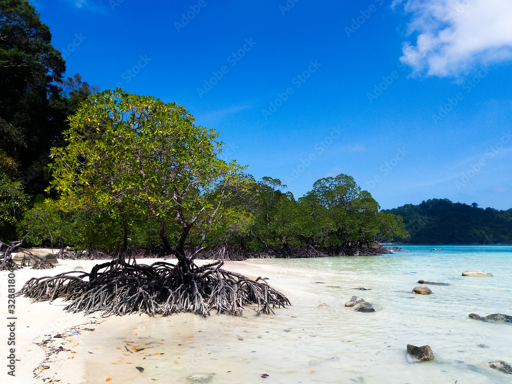 background, beach, beautiful, blue, forest, green, holiday, island ...