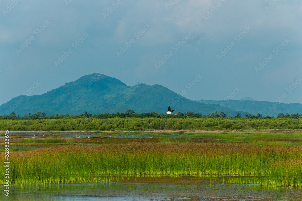Bokor Mountain National Park in Kampot, Cambodia Stock Photo | Adobe Stock