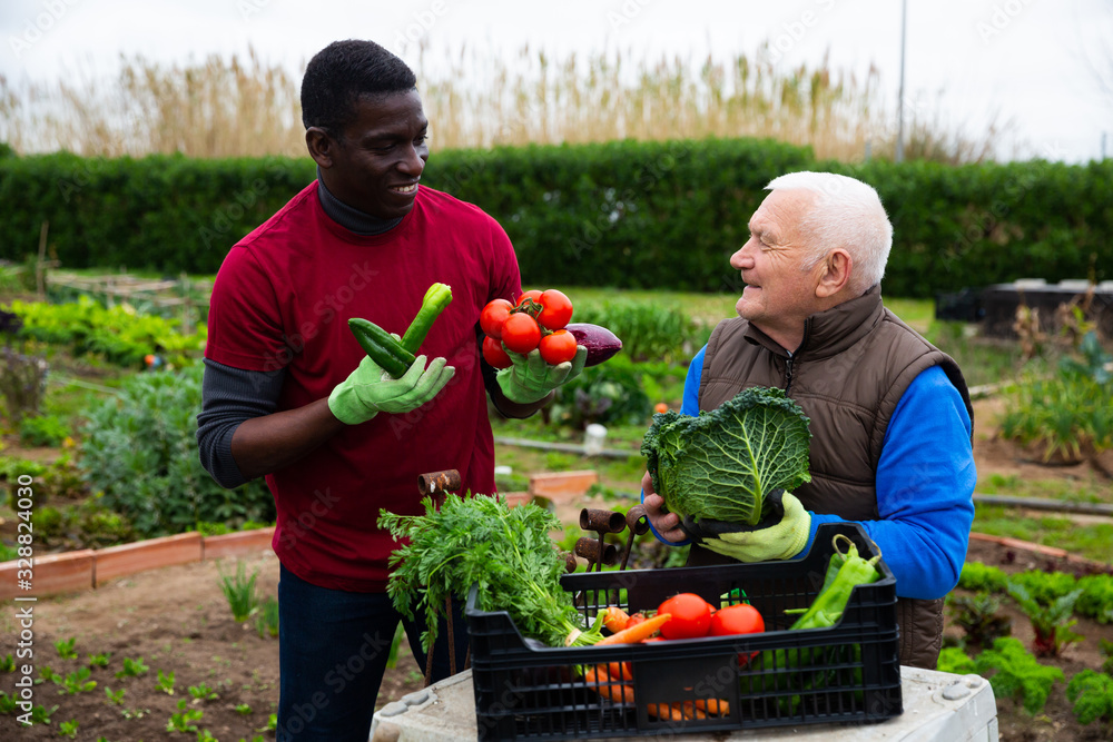 Getting to know the neighbors at the country houses in village Stock ...