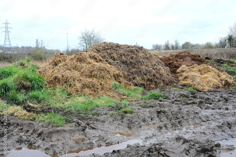 Big pile of farm manure dumped outdoors Stock Photo | Adobe Stock