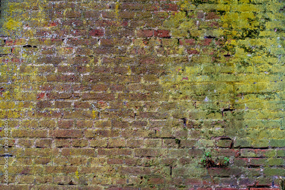 Old brick wall crumbling from old age with crumbling bricks and a ...
