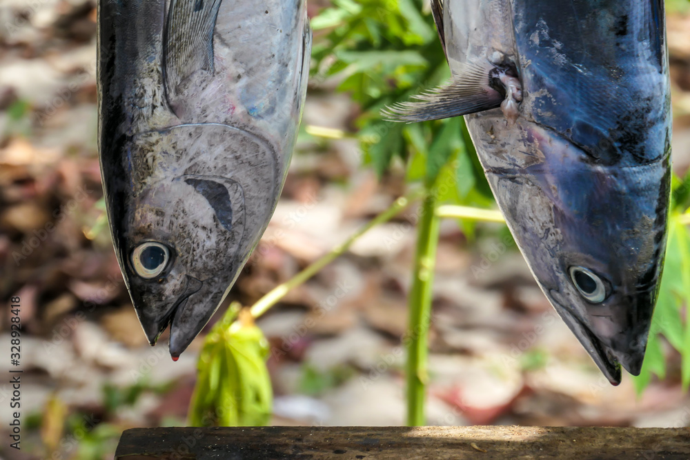 Foto de Two tuna fish hanging on a string attached to the wooden ...