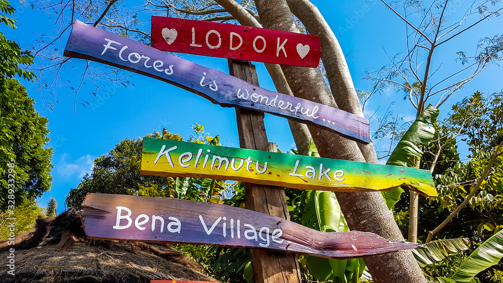 colorful signs attached to a tree, pointing to the closest tourist ...