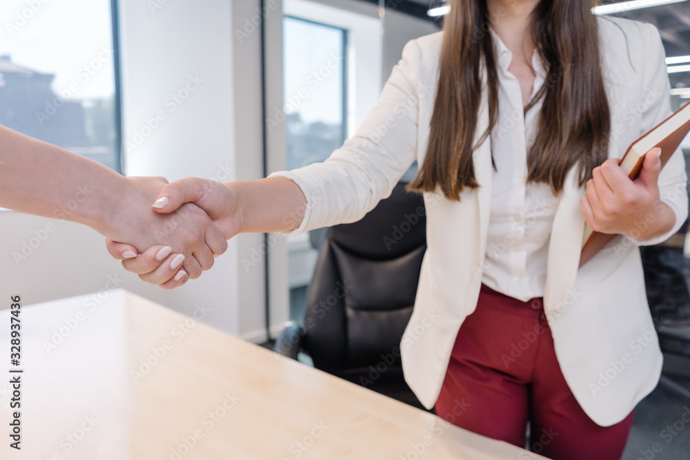 Friendly handshake at the beginning of the new job application process ...
