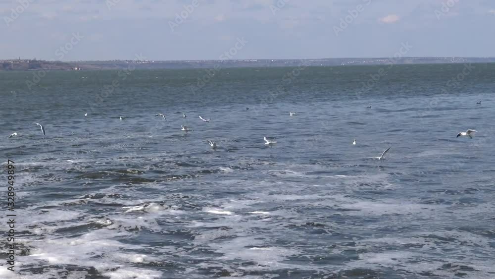 Water pollution. Dirty water from treatment plants flows through a pipe ...