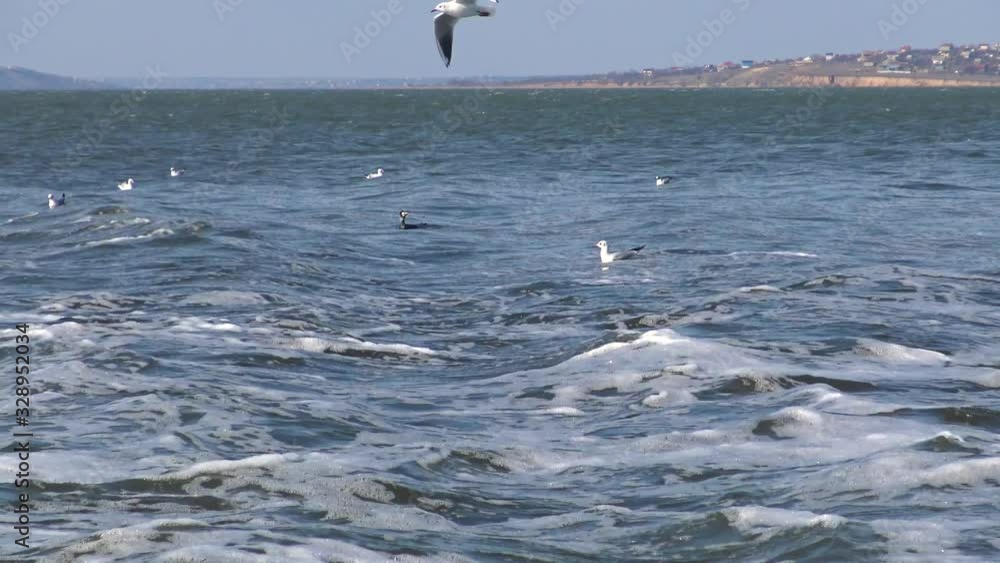 Water pollution. Dirty water from treatment plants flows through a pipe ...