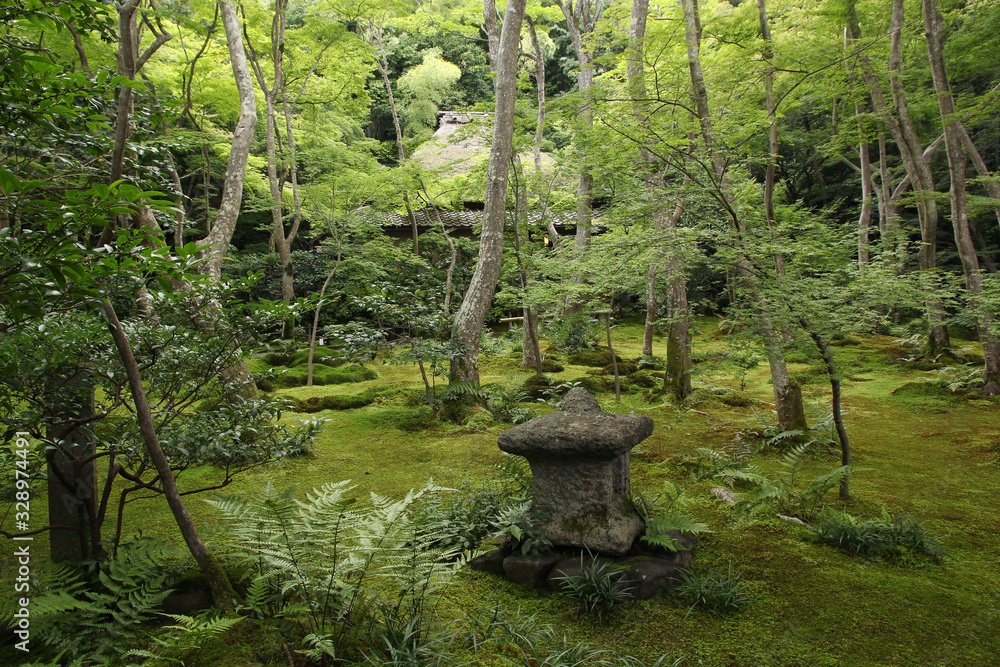 Impressive moss garden of Gio-ji temple in Kyoto, Japan Stock Photo ...