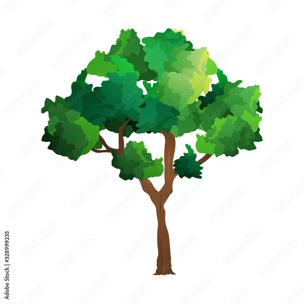 Green tree isolated on a white background. Vector tree. Element for the ...