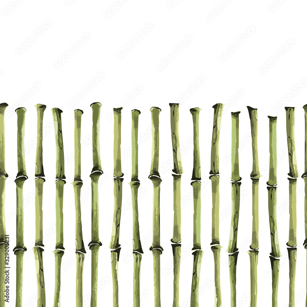 Bamboo Seamless Vertical border on white background Stock Vector ...