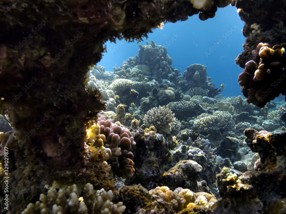 The Best Coral Reef Locations: Red Sea are the largest natural ...