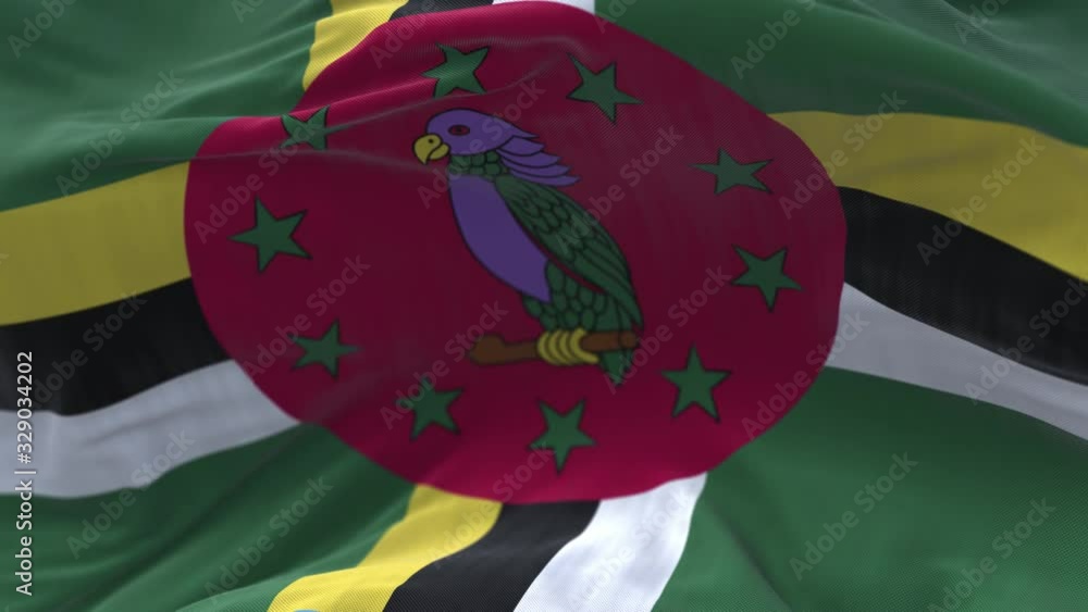 4k Dominic National flag slow loop seamless waving with visible ...