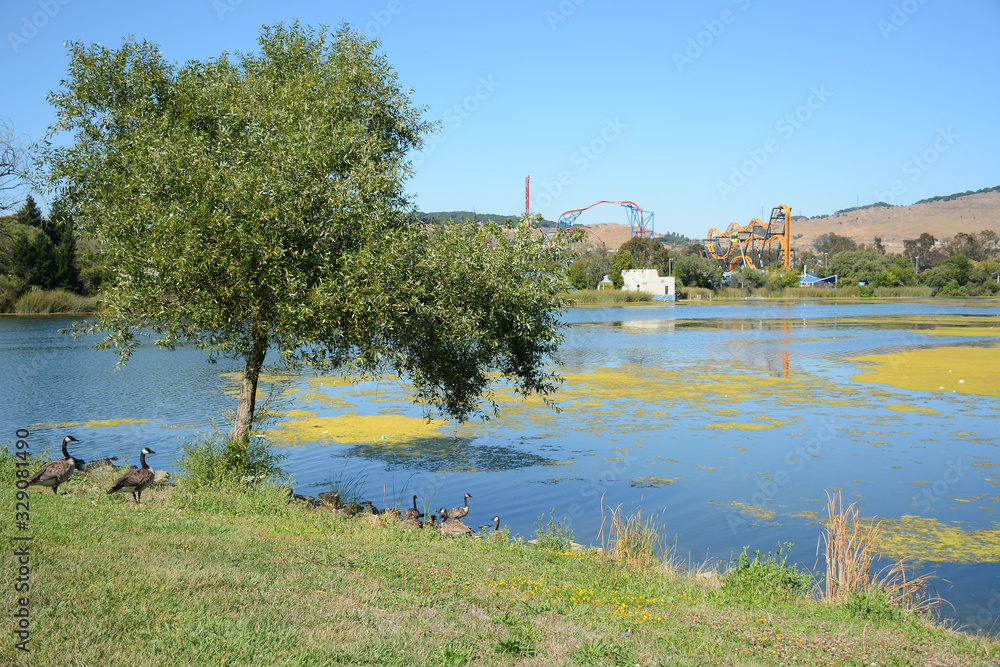 VALLEJO, CALIFORNIA, USA - AUGUST 13, 2019: Dan Foley Park near Lake ...