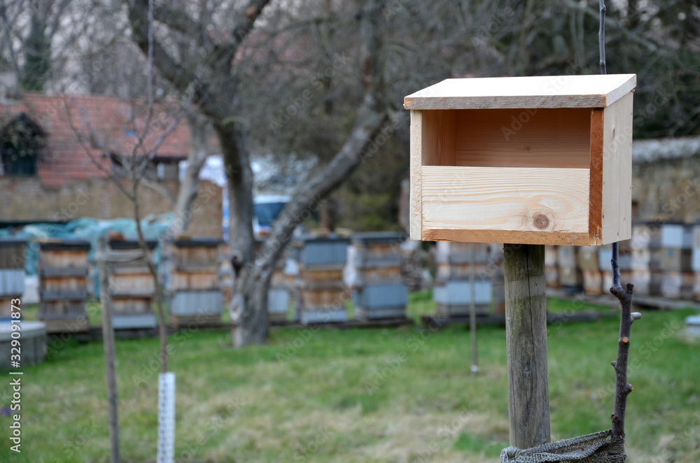 hands attach the box for black scythe Turdus merula with an opening of ...