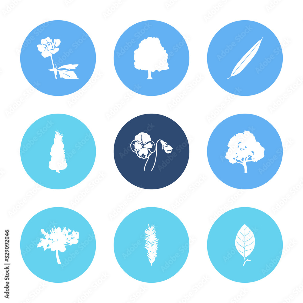 Flora icon set and decoration with sequoia leaf, buttercup and linden ...