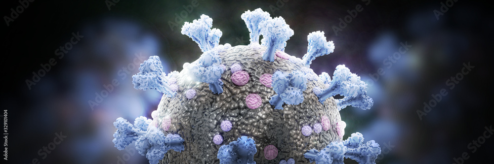 Covid-19 (coronavirus, Sars-CoV-2) Microscopic view of all major ...