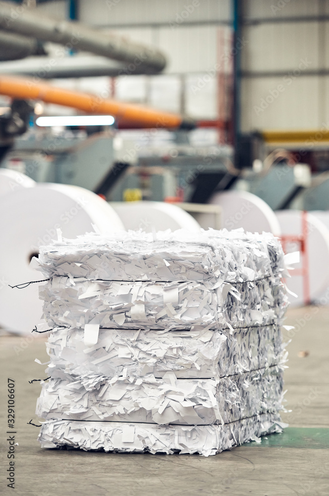 A paper recycling factory plant shredding machine, shredding waste ...