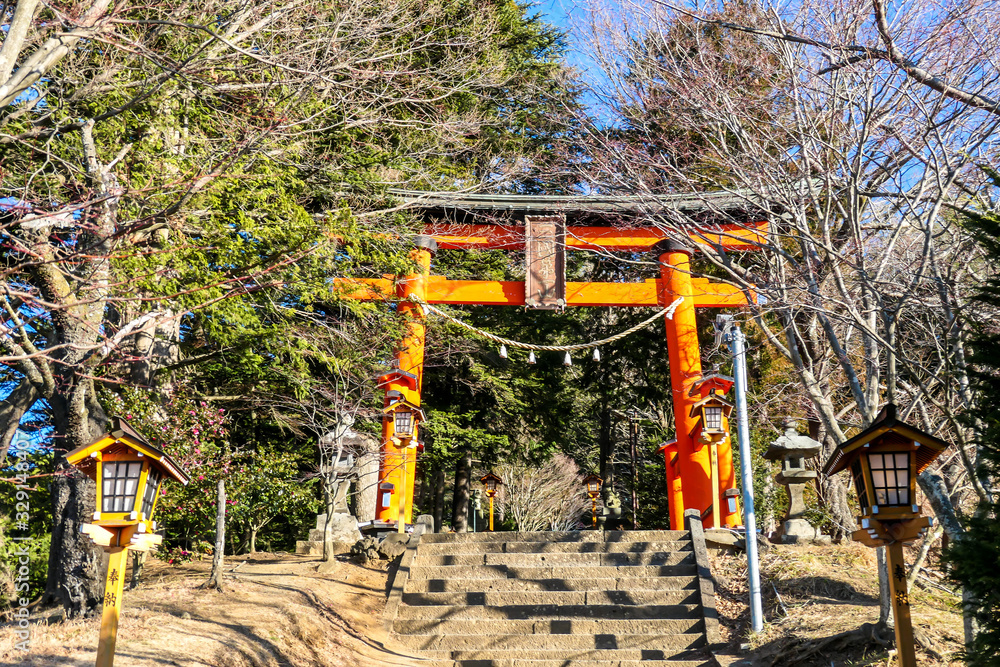 Orange Torii leading to Chureito Pagoda in Japan. The torri has bright ...