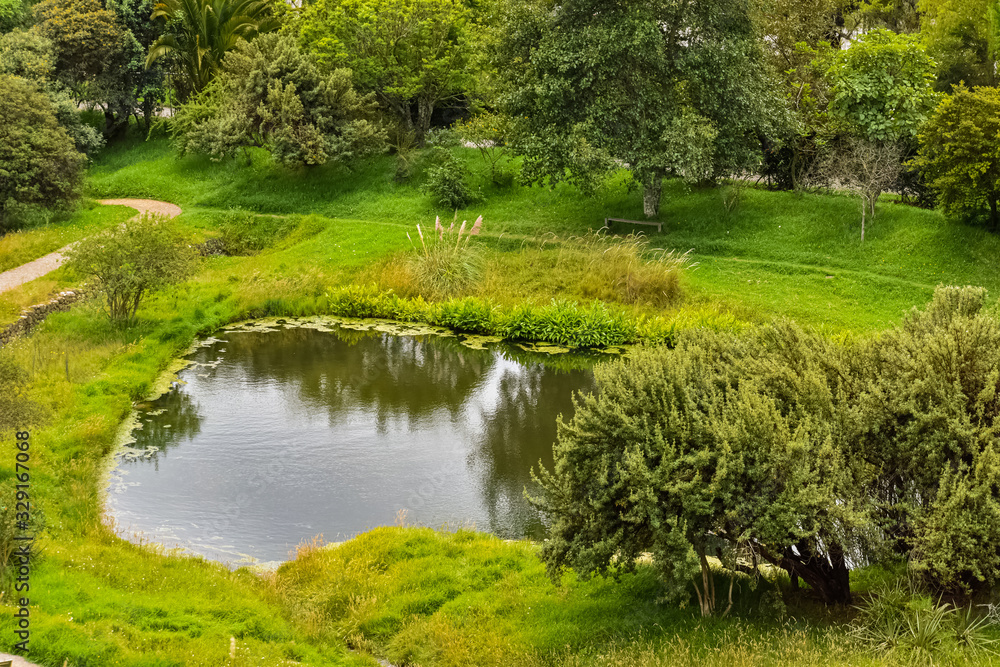 Aerial view of a garden with abundant vegetation, trees and a swamp ...