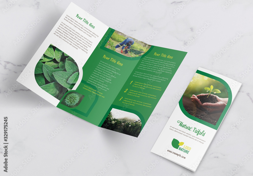 Nature Trifold Brochure Layout with Green Accents Stock Template ...