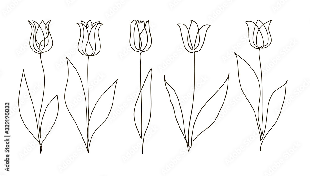 Tulip flower set. Continuous drawing. Line art concept design. Stylish ...