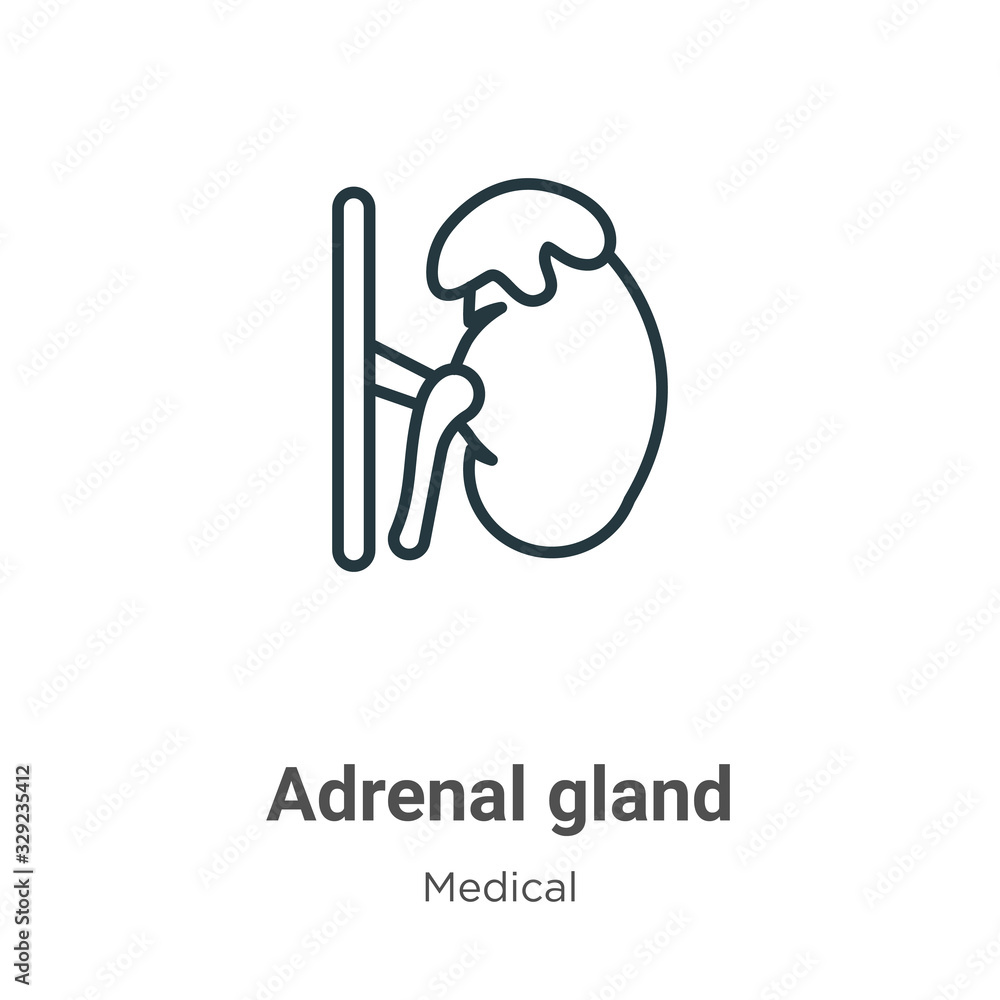 Adrenal gland outline vector icon. Thin line black adrenal gland icon ...
