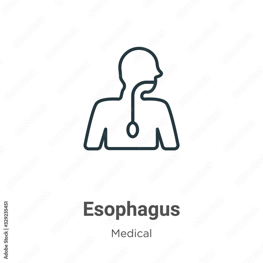 Esophagus outline vector icon. Thin line black esophagus icon, flat vector simple element ...